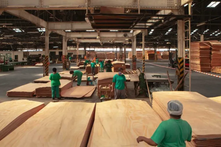 Nkok : le producteur de bois,Gabon Timber obtient la certification FSC